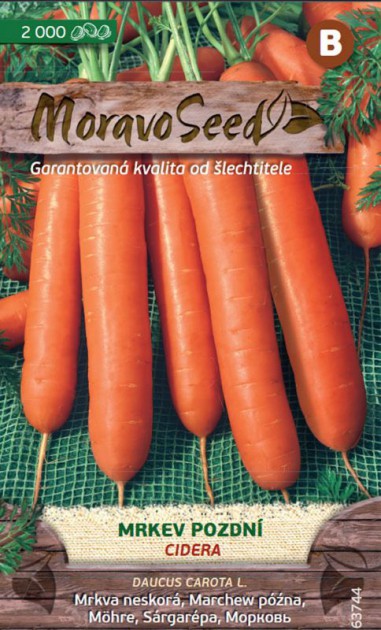 Mrkva neskorá - Cidera 3g | Agrosam
