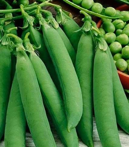 Hrach OSKAR 500g | Agrosam